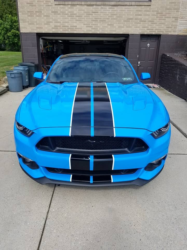 Mustang 2-Color Dual Stripe Kit | Shelby Inspired Stripes – Vellosvinyl